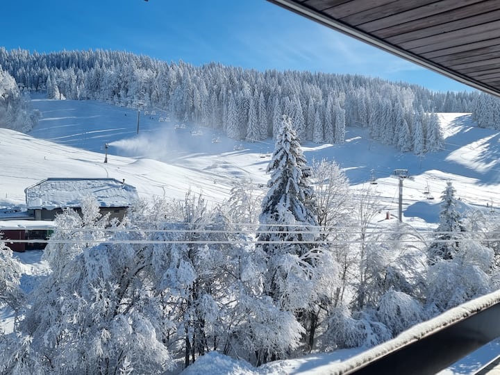 Studio Accès Direct Pistes De Ski Alpin Et Fond - Lamoura