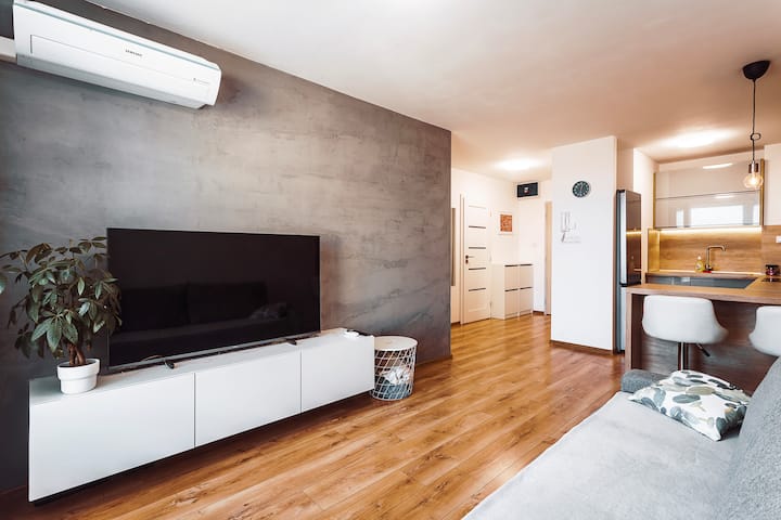 Peaceful Private Condo W/ Ac Near Dt - 10 Min Walk - Koszyce