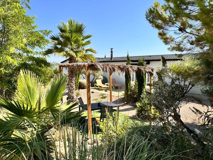 Palmito : Ressourcez Vous En Pleine Nature - Villena