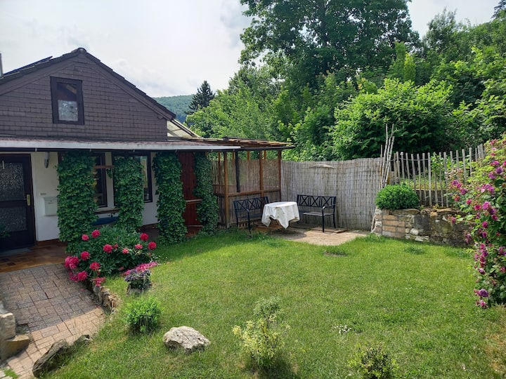 Zwölfenstein: Das Moderne Dreisternehaus Am Wald - Bad Harzburg