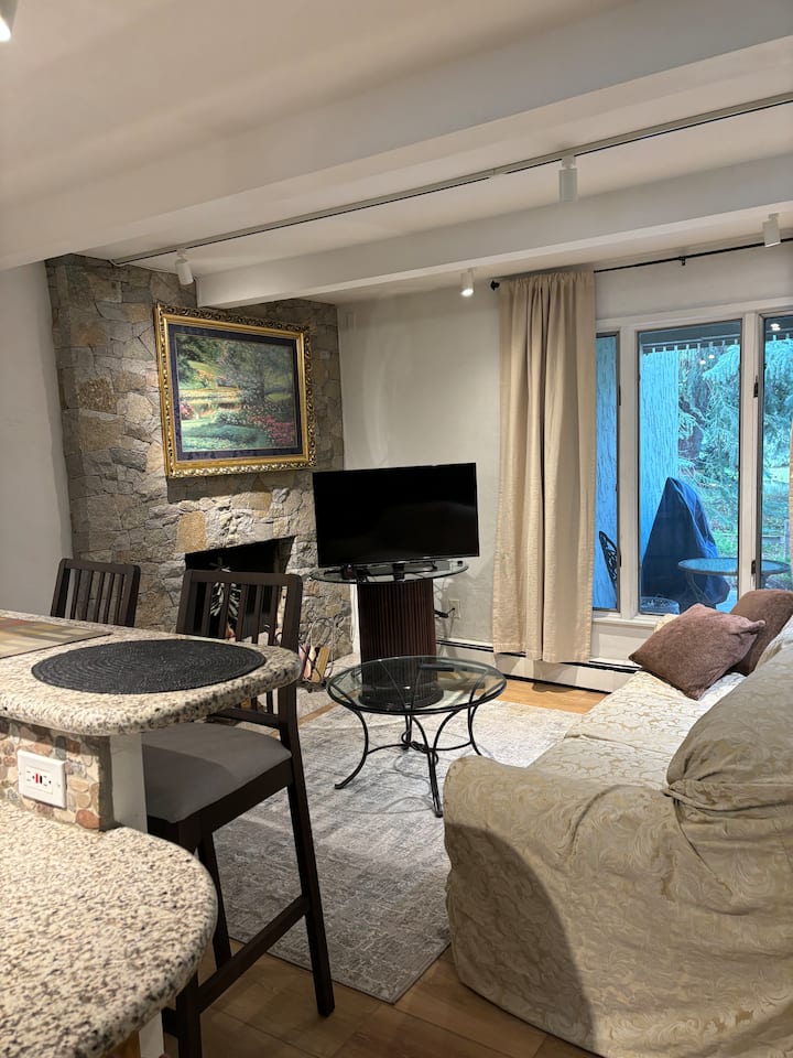 Charming Condo On Park In Core - Aspen, CO