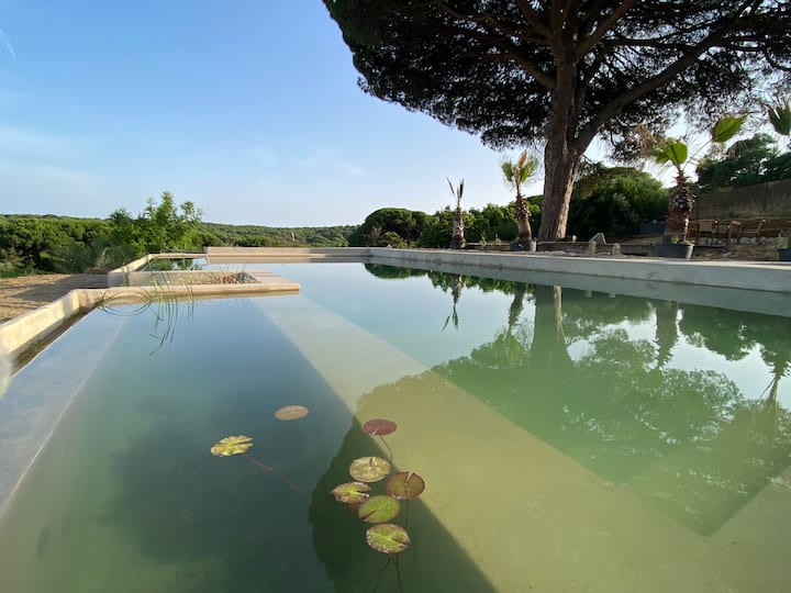 Deluxe Tent Amanecer @ Stonepines Ecoglamping 2of4 - Vejer de la Frontera