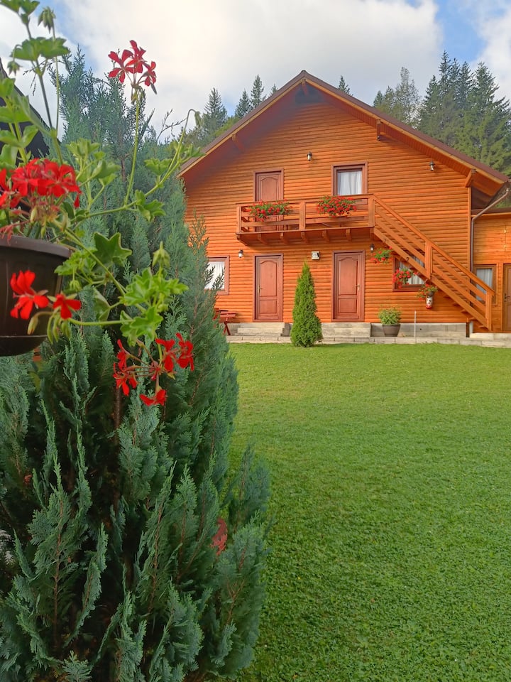 Room With Fantastic Mountain View (For 5 People) - Bicaz-Chei