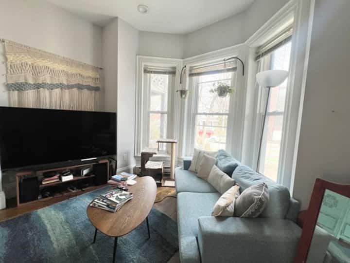 Cha, Cambridge/somerville,inmansquare,2bedroom - Somerville, MA