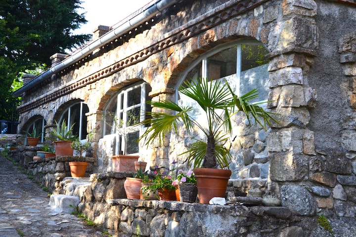 L'orangerie : Appartement Spacieux Et Lumineux - Le Vigan