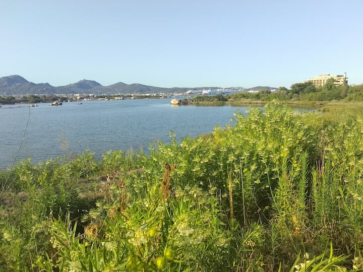 Near Airport, Beds -