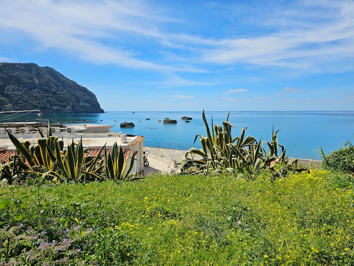 Paco Mare Panoramico A 50mt Spiaggia Di Citara #4 - Forio