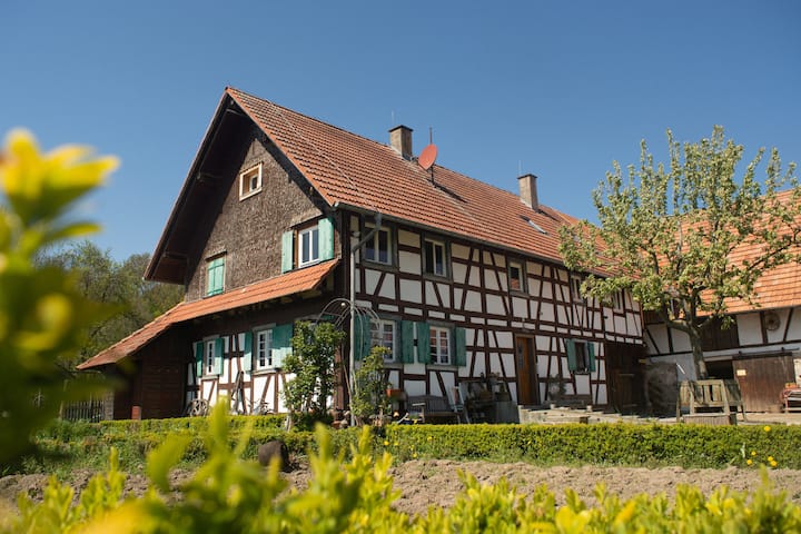 Historischer Bauernhof Mit Bergblick - Achern