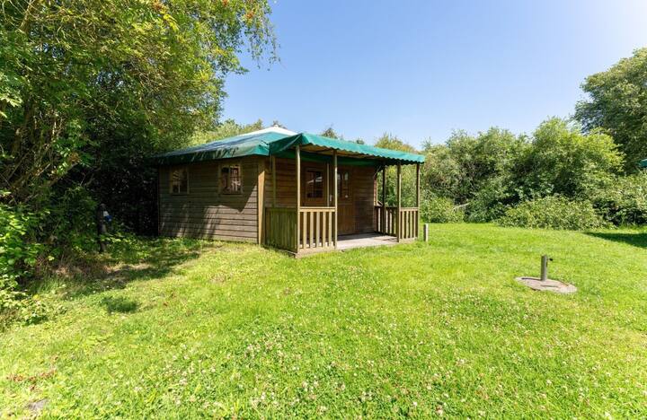 Houten Luxe Kampeerbungalow, In De Duinen - Callantsoog