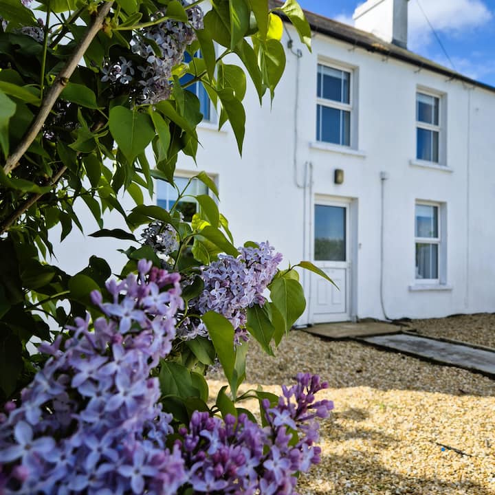 Alpaca Farmhouse With Hot Tub & Alpaca Meet-up! - Northern Ireland