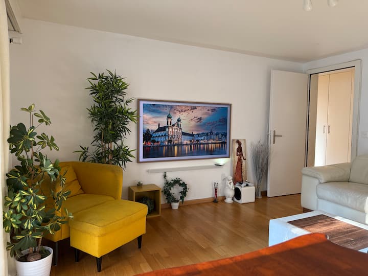 Central Apartment In Lucerne With Guest Card - Lucerne