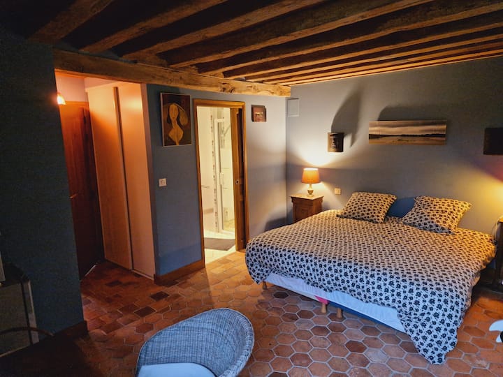 Appartement Plein Pied Sur Les Bords De Loire - Sancerre