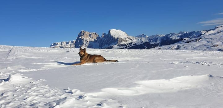Apartment / Farmhouse Parlor Near Lake/seiser Alm - Alpe di Siusi