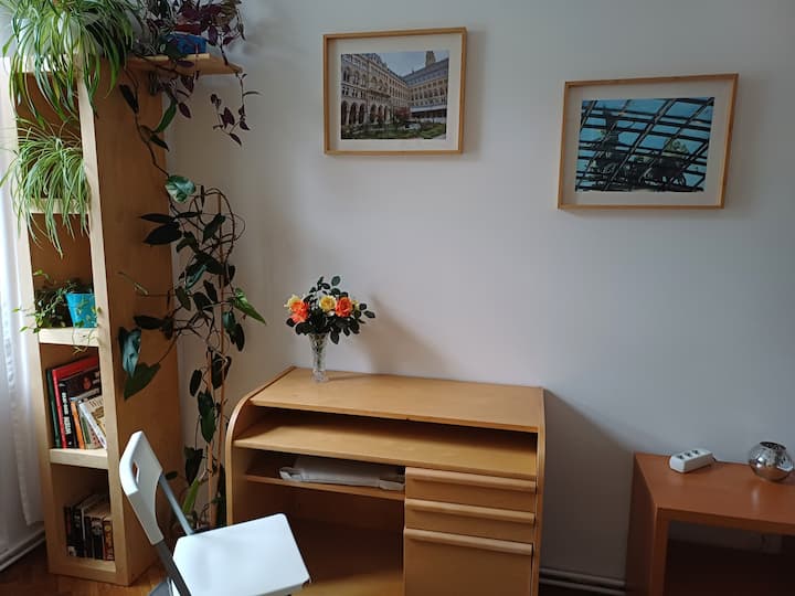 Kleines Privatzimmer In Meiner Wohnung - ウィーン