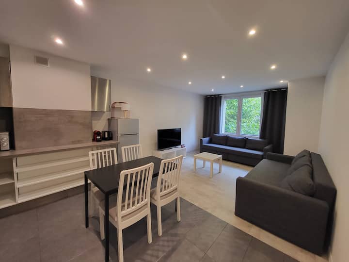 Annecy : Joli T3 Proche Lac Et Vieille Ville - Annecy