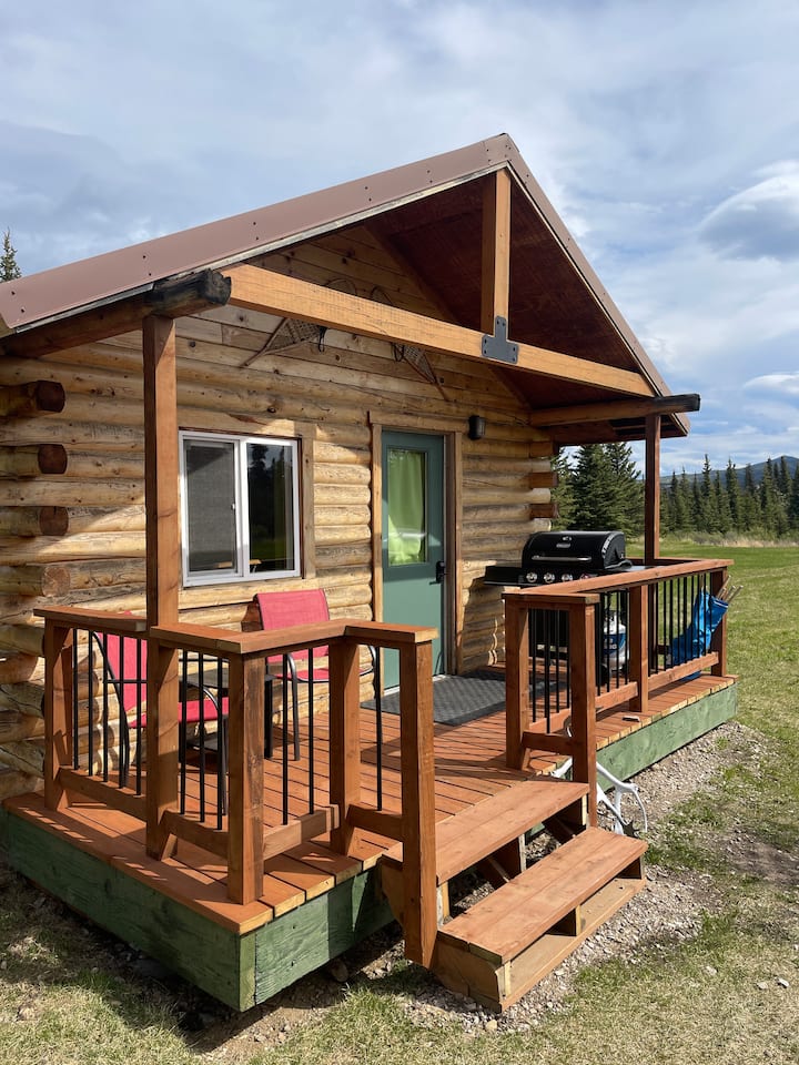 Cranes Crossing Cabin- Your Denali Retreat - Alaska