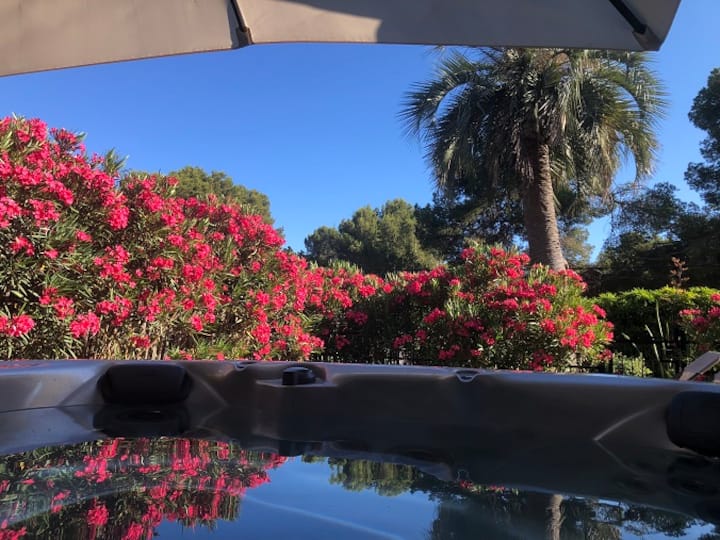 Superbe Appartement/villa Haut De Gamme Jacuzzi - Presqu'île de Giens