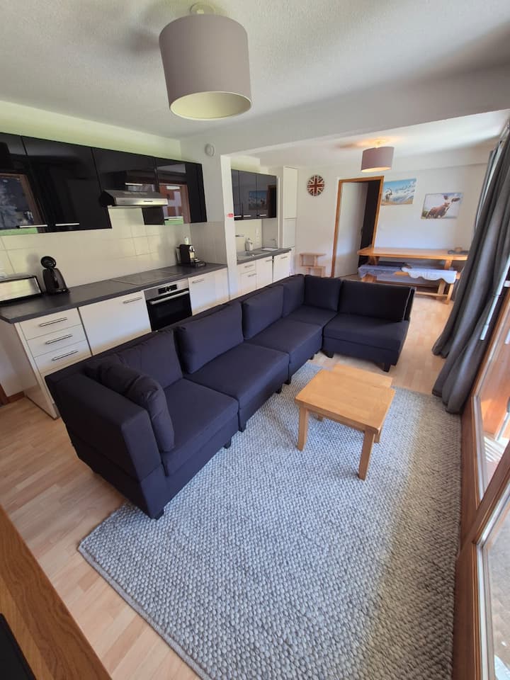 Ski/summer Apartment, 300 Mtrs From The Slopes - La Chapelle-d'Abondance