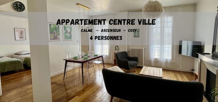 Le Cocon Urbain, Vaste T3 En Hypercentre - Limoges