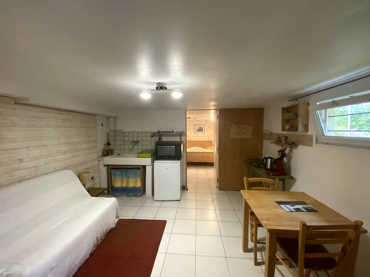 Studio 36 M2 Indépendant Sous-sol - Bois-le-Roi