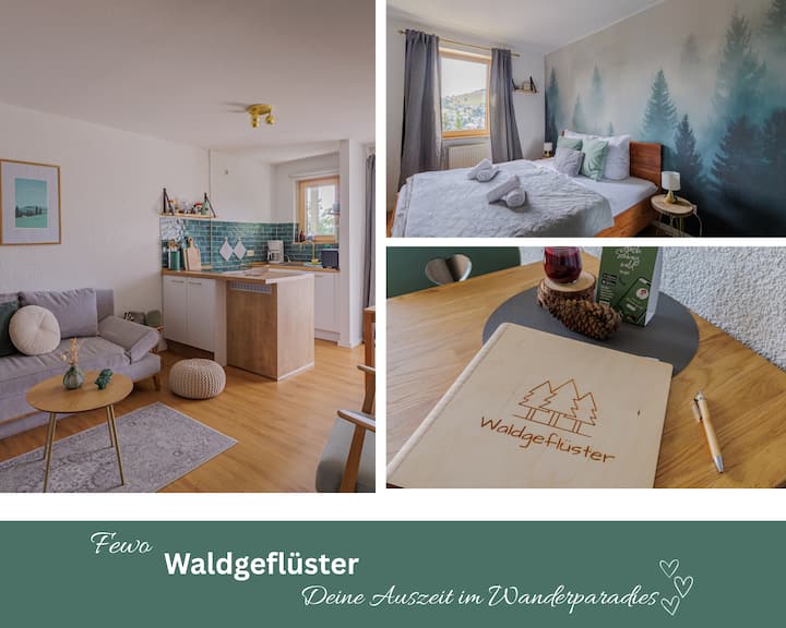 Direkt An Wanderwegen Sauna I. Haus Und Traumblick - Todtnau