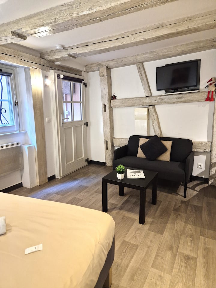 Gîte De Louise, Cosy Studio - Petite Venise Colmar - Colmar