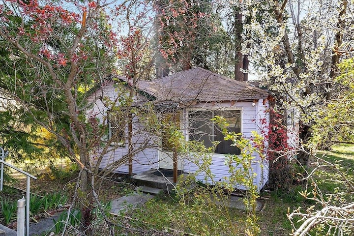 Special House Near Downtown Mt. Shasta 𐐪𐑂 Longterm - Mount Shasta, CA