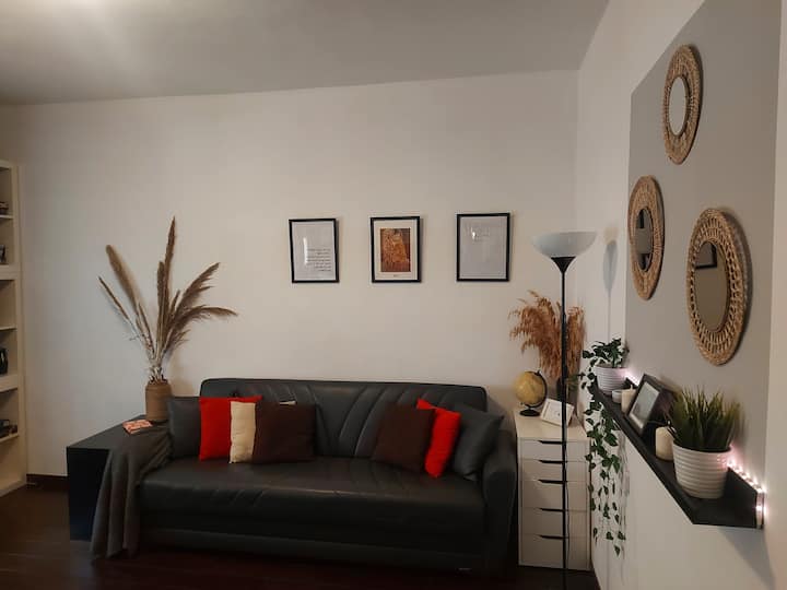 Historic Centre Pisa Apartment - 比薩