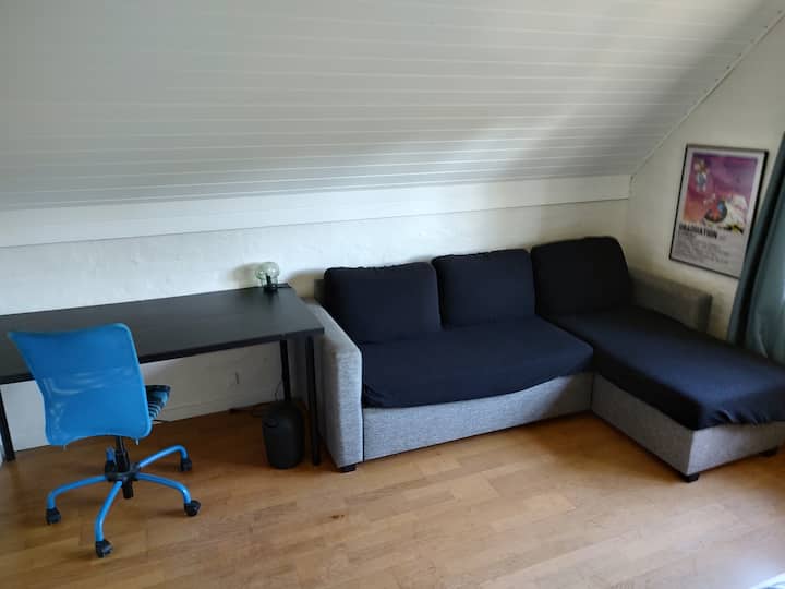 Stort Hus Til 8 Personer Kun 6 Km Fra Odense City - Odense