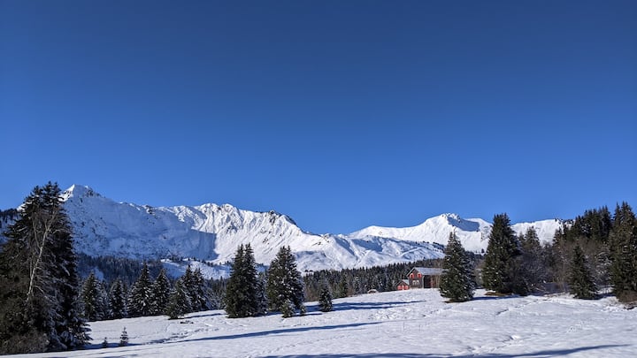 Appartement Studio Au Praz De Lys, Direct Pistes - Taninges