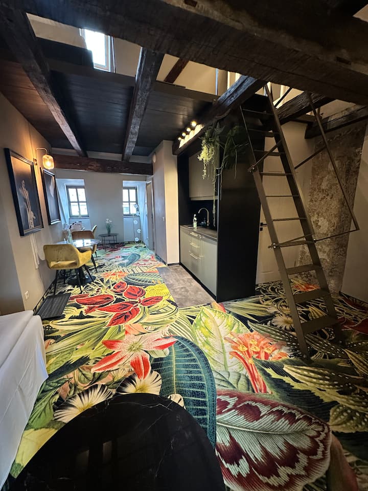 Altstadt-apartment Onyx - Regensburg