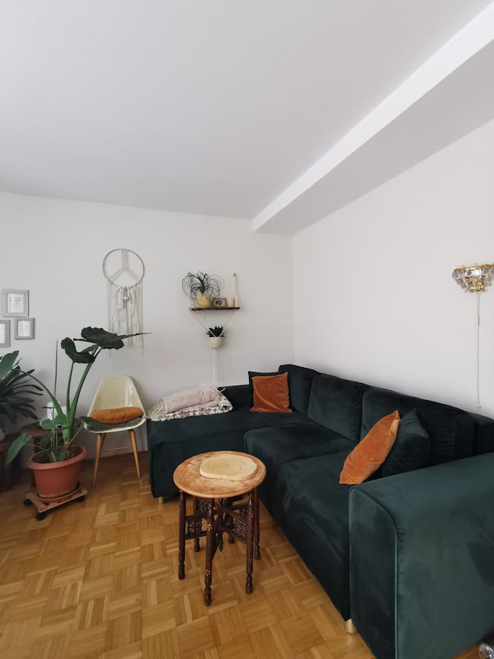 Schöne Wohnung Mit Großer Terrasse - Munich