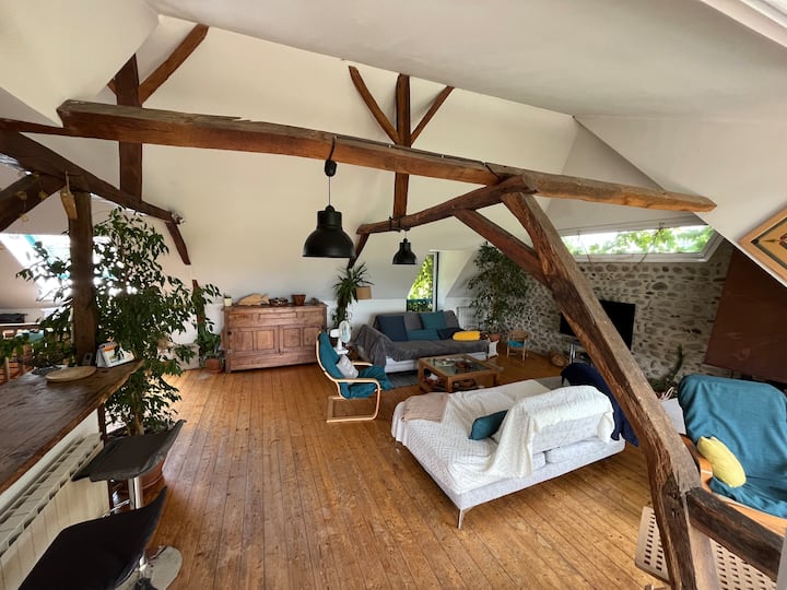 La Terrasse Des Pyrénées - Tarbes