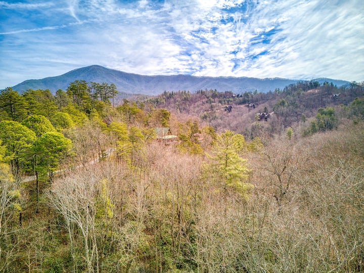 Honeymoon Hideout /Views/hot Tub/firepit/projector - Townsend, TN