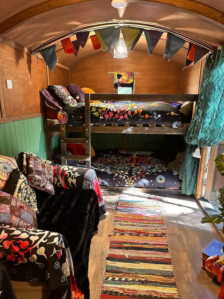 “The Enchanted Hut” On A Plant Based Sanctuary - Runswick Bay