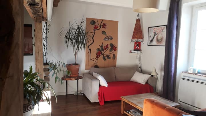 Maison Atypique, Hyper Centre, 3 Chbs 9 Couchages - Auch