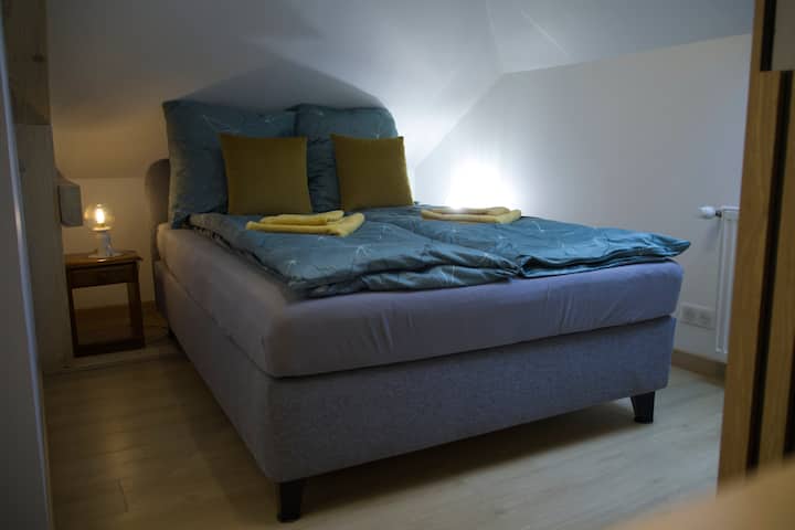 Azalée Cocooning Appartement - Ribeauvillé