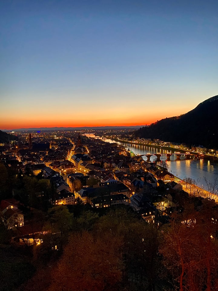 Stylish Suite Old Town Heidelberg Free Parking Ac - Heidelberg