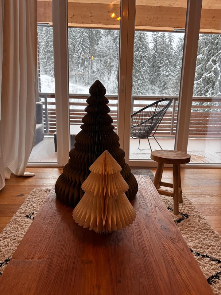 Feldberg, Gemütliche Stube9 Direkt An Der Skipiste - Feldberg (Schwarzwald)