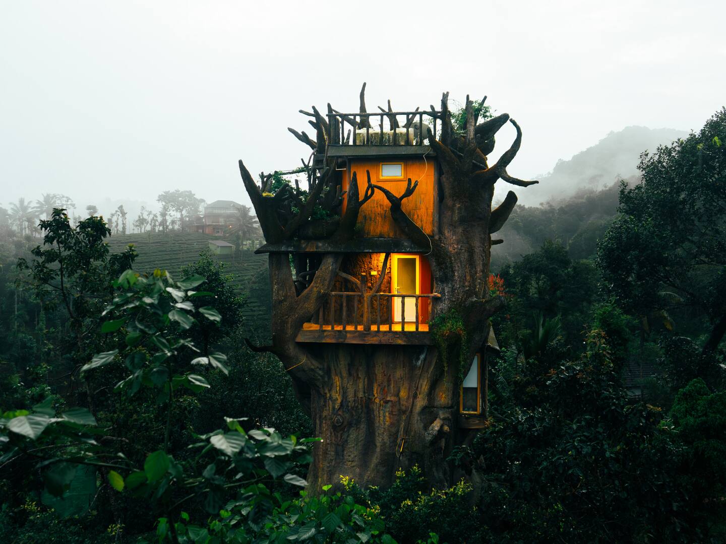 Karnataka Treehouse Holiday Rentals - India | Airbnb