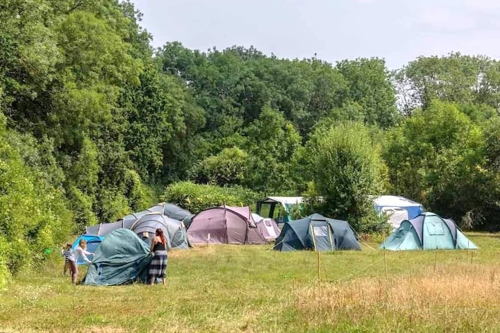 Secluded Camping On Organic Farm (Pitch 1) - Malvern
