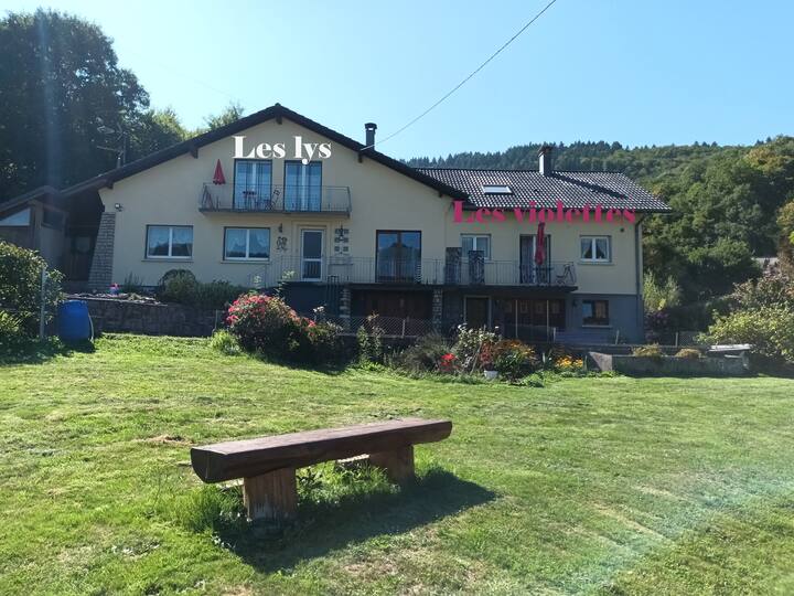 Le Bellevue "Les Lys" - Thann