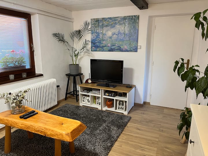Libelle App.70m²2 Bedrooms, 2 Toiletts, Parking - Ljubljana