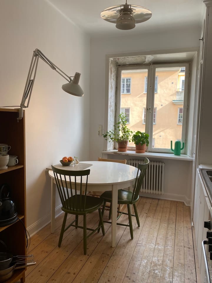 Bright Hornstull Apartment - Stockholm