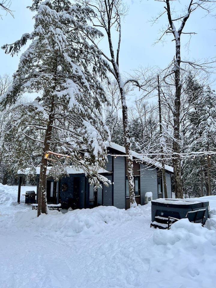 Rabais | L’ours | Passion Chalets | Spa En Nature - Lac-Simon