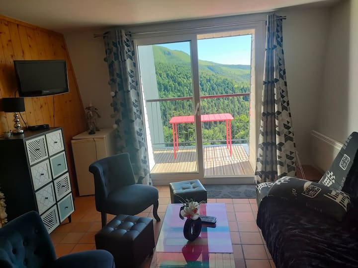 Appartement 9 Couchages Proche Piste Font De Cere - Le Lioran (Super Lioran)