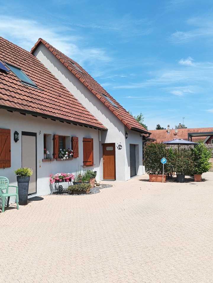 Gîte Au Cœur Des Champs Chez Sandrine Et Manu. - Elsass