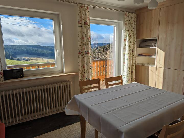 Schweizerhäusle 6 A - Appartement 42m² Avec Balcon - Titisee-Neustadt