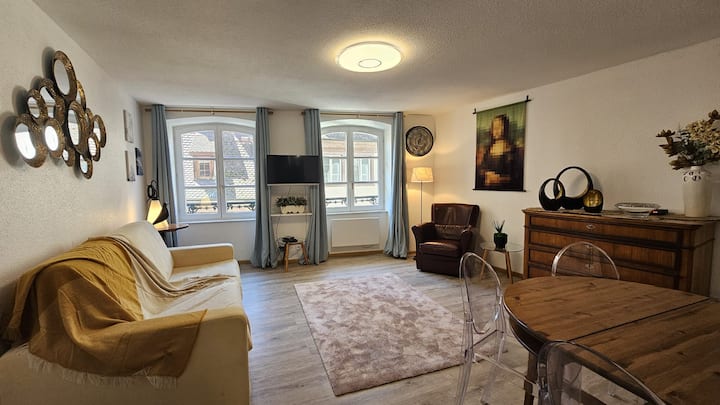 Appartement Grand'rue Au Cœur De La Petite France - Straatsburg