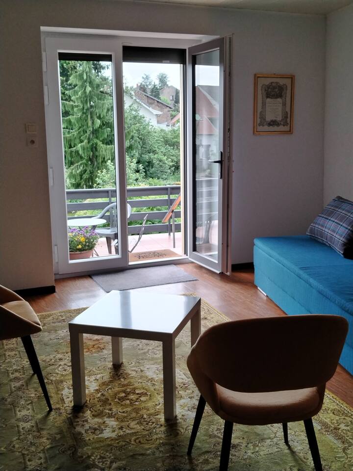 Appartement Spacieux Marine  " Chez Clarisse" - Freyming-Merlebach